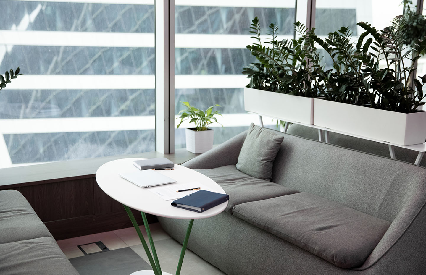 Corporate Office Plants - Corporate Plant Rental | Plantscape Live