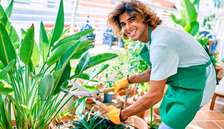 7 Signs You Need Plant Service and Maintenance | Plantscape LIVE
