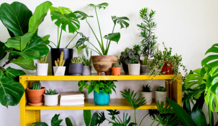 The Secret Formula for Grouping Plants in a Pot | Plantscape LIVE